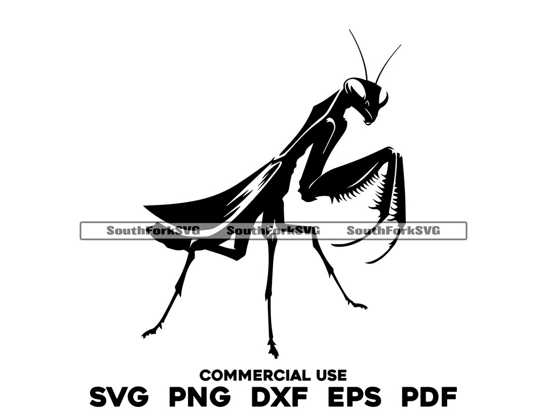 Praying Mantis Svg Png Dxf Eps Pdf | Transparent Vector Graphic Design ...