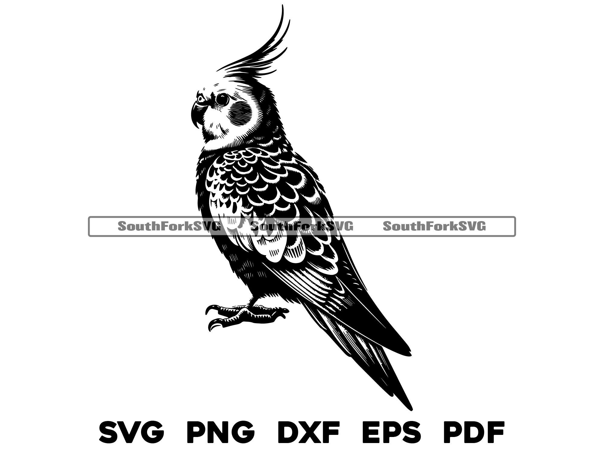 Cockatiel Bird Design | Svg Png Dxf Eps Pdf | Vector Graphic Cut File ...
