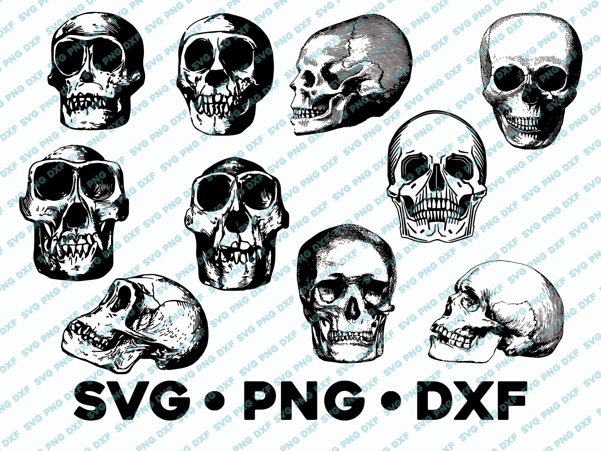 Scary Skeleton Head Cartoon