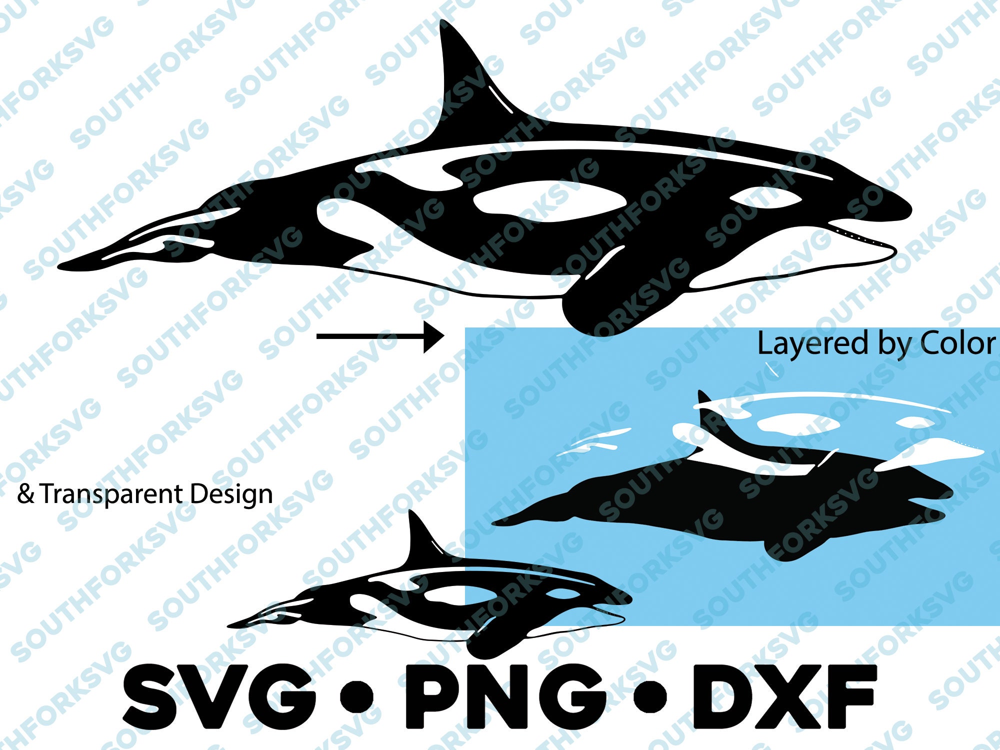 Killer Whale Orca SVG PNG DXF Cut File for Cricut Silhouette | Etsy