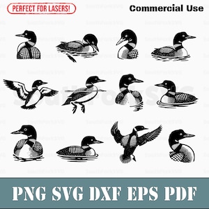 Simple Loon SVG Bundle Svg Png Dxf Eps Pdf | Vector Graphic Design Cut ...