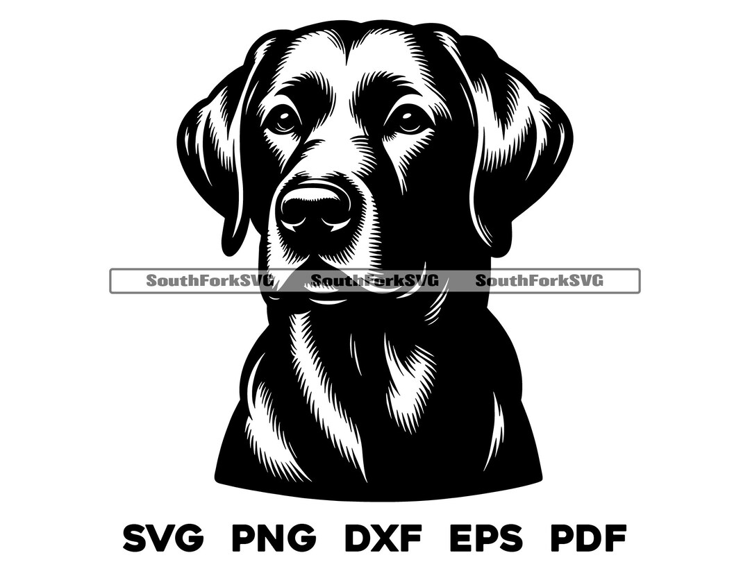 Labrador Retriever Dog Head Design | Svg Png Dxf Eps Pdf | Vector ...