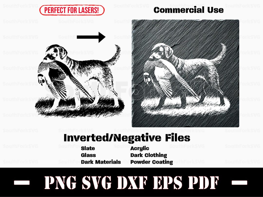 Inverted Labrador Retriever Pheasant Hunting Svg Png Dxf Eps Pdf ...