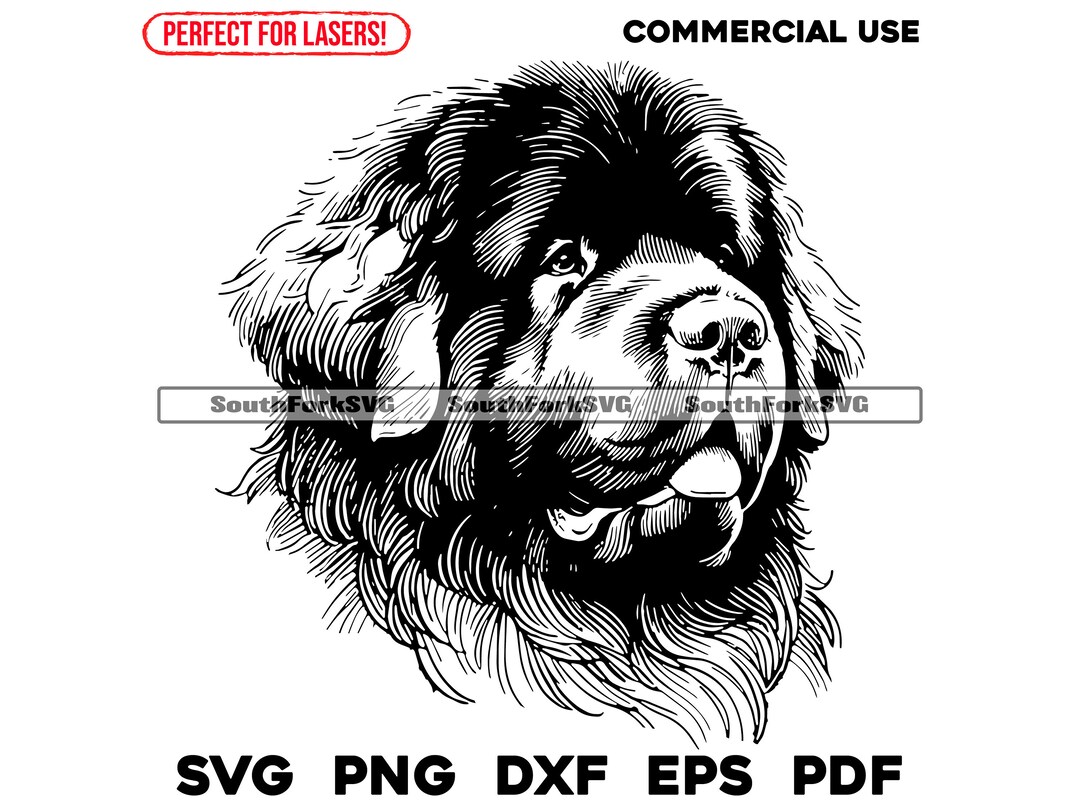Newfoundland Dog Portrait Svg Png Dxf Eps Pdf | Vector Graphic Cut File ...
