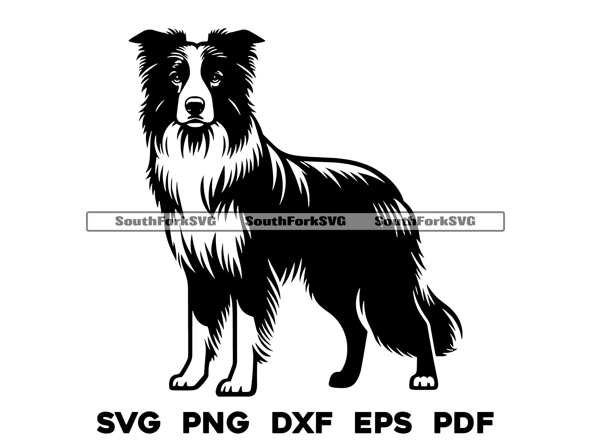 Border Collie Dog Standing Design | Svg Png Dxf Eps Pdf | Vector ...
