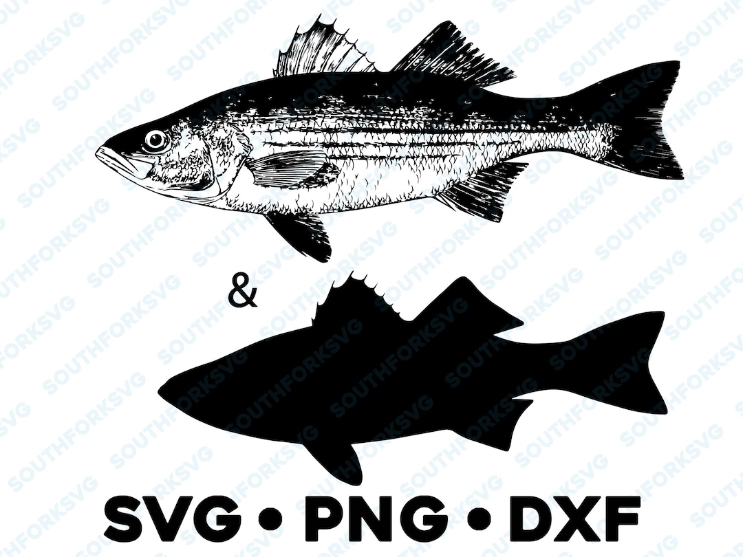 Striped Bass Striper Fish SVG PNG DXF Transparent Graphic Design Image ...