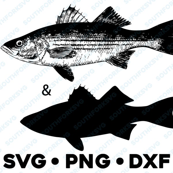 Bass Fish Svg - Etsy