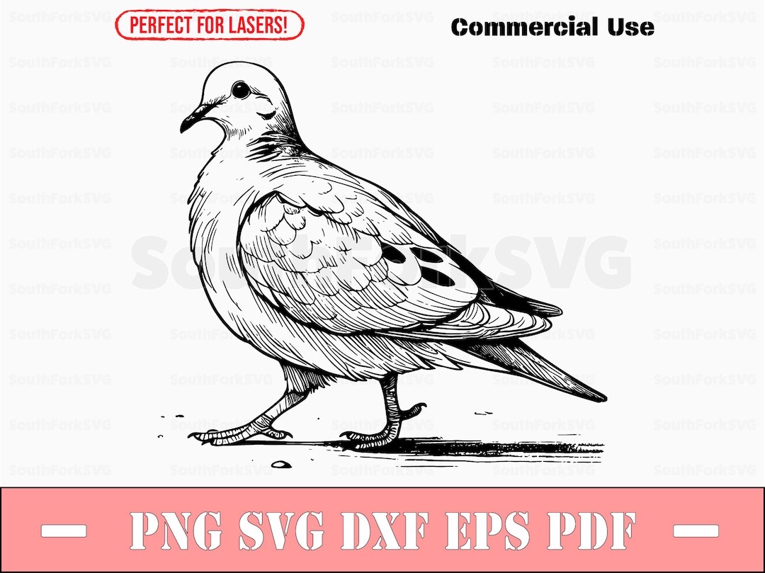 Mourning Dove Svg Png Dxf Eps Pdf | Vector Graphic Design Cut Print Dye ...