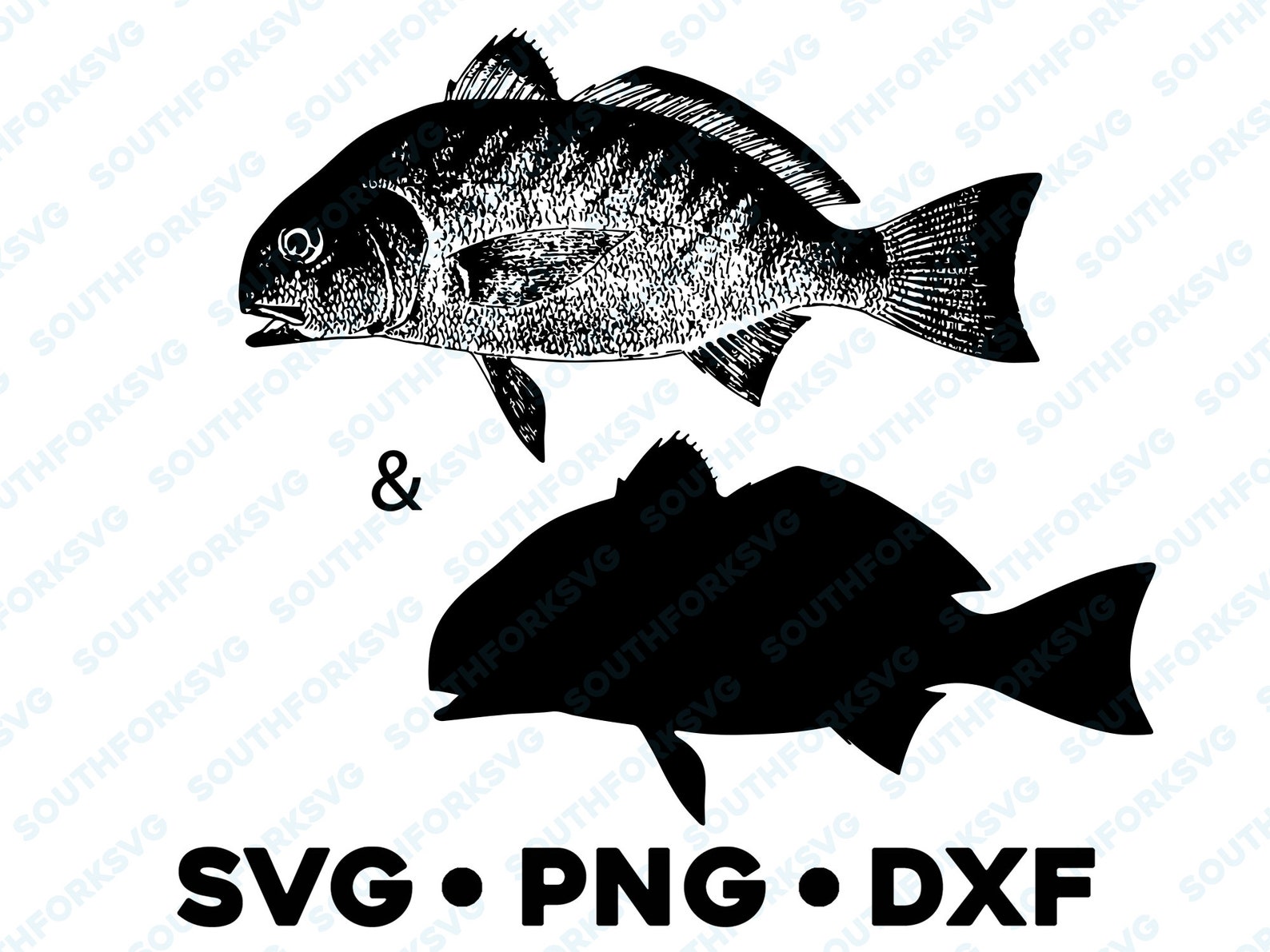 Sheepshead SVG PNG DXF Vector Transparent Cameo Silhouette Cut File ...