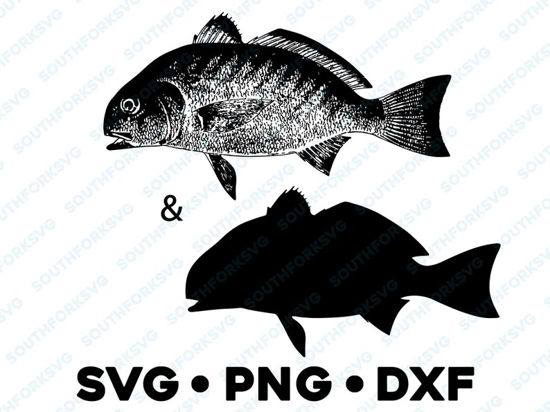 Sheepshead SVG PNG DXF Vector Transparent Cricut Cameo | Etsy