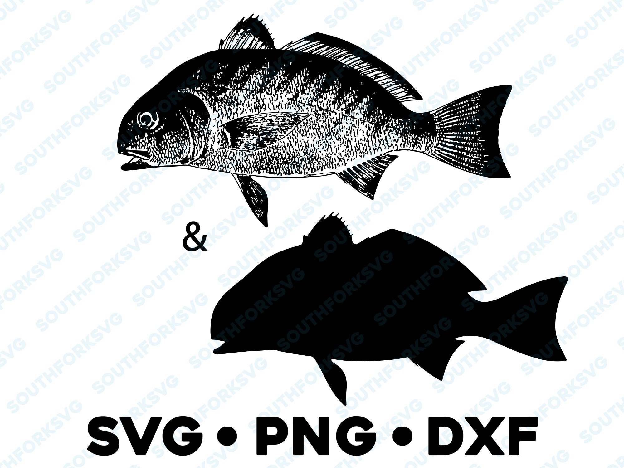 Sheepshead SVG PNG DXF Vector Transparent Cameo Silhouette Cut File ...