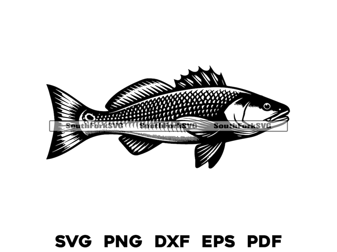 Redfish Red Drum Design | Svg Png Dxf Eps Pdf | Transparent Vector ...