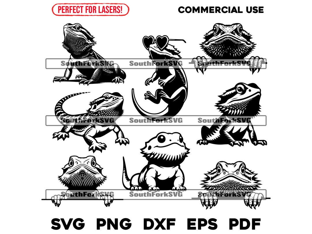 Bearded Dragon Designs Bundle | Svg Png Dxf Eps Pdf | Vector Graphic ...
