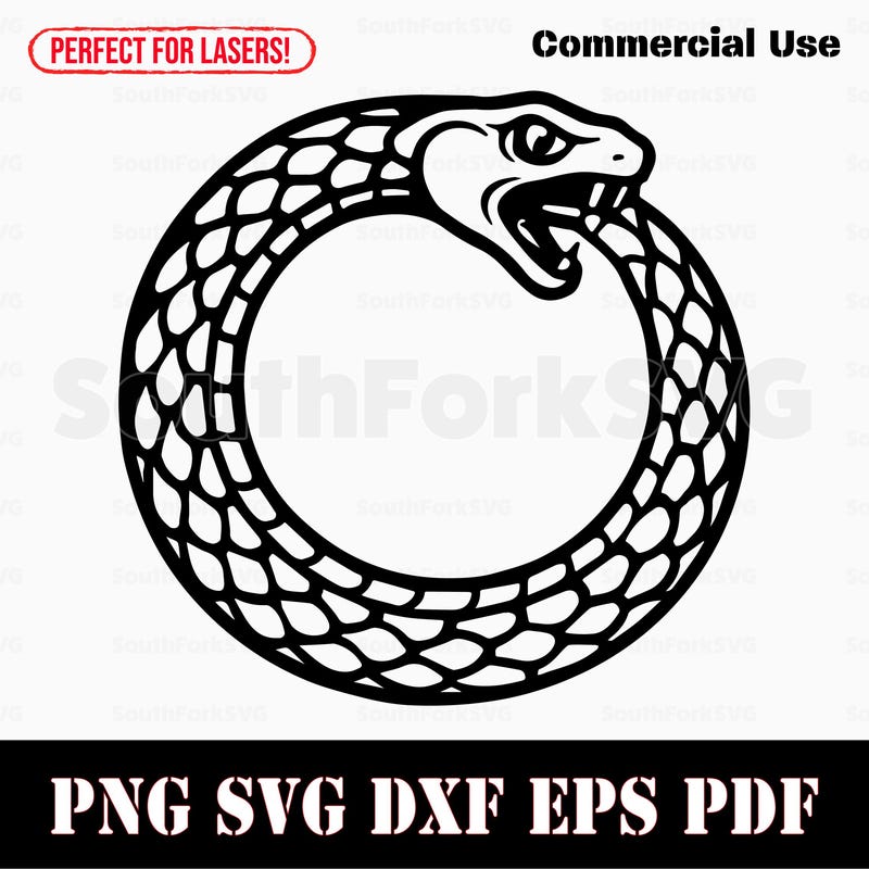 Bad Dragon Used - Etsy