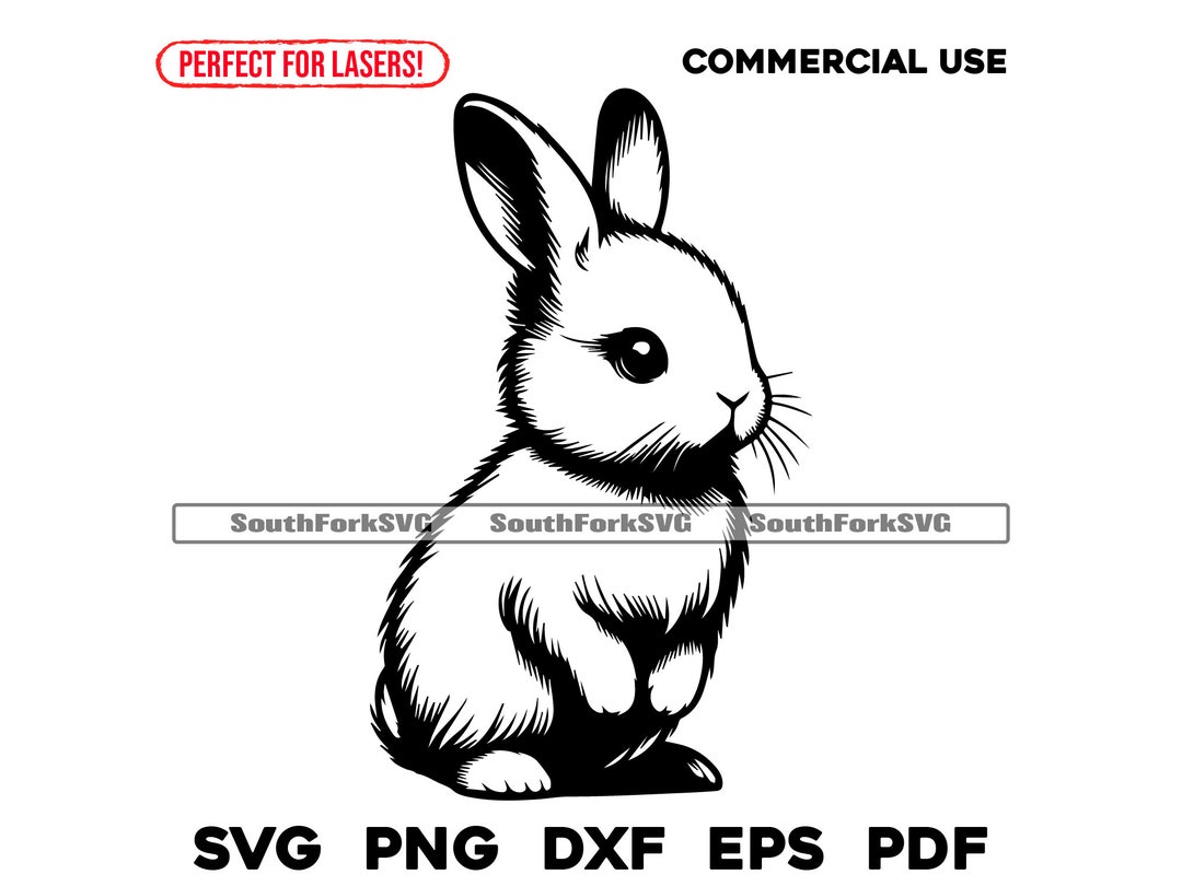 Cute Baby Bunny Svg Png Dxf Eps Pdf | Transparent Vector Graphic Design ...