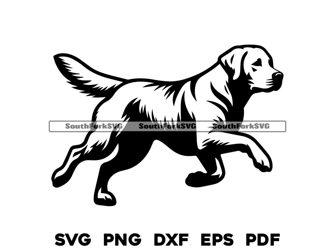 Labrador Retriever Dog Running Design Svg Png Dxf Eps Pdf | Vector ...