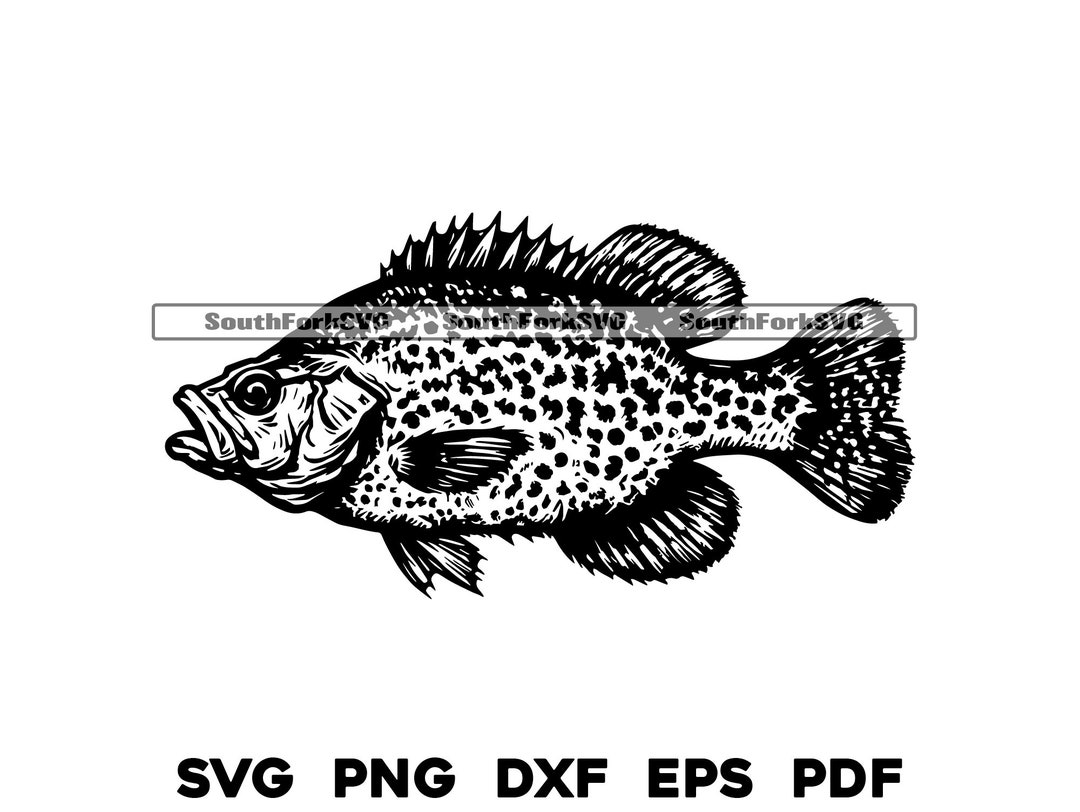 Crappie Fish Design Files | Svg Png Dxf Eps Pdf | Transparent Vector ...