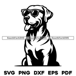Labrador Retriever Wearing Sunglasses | Svg Png Dxf Eps Pdf | Vector ...