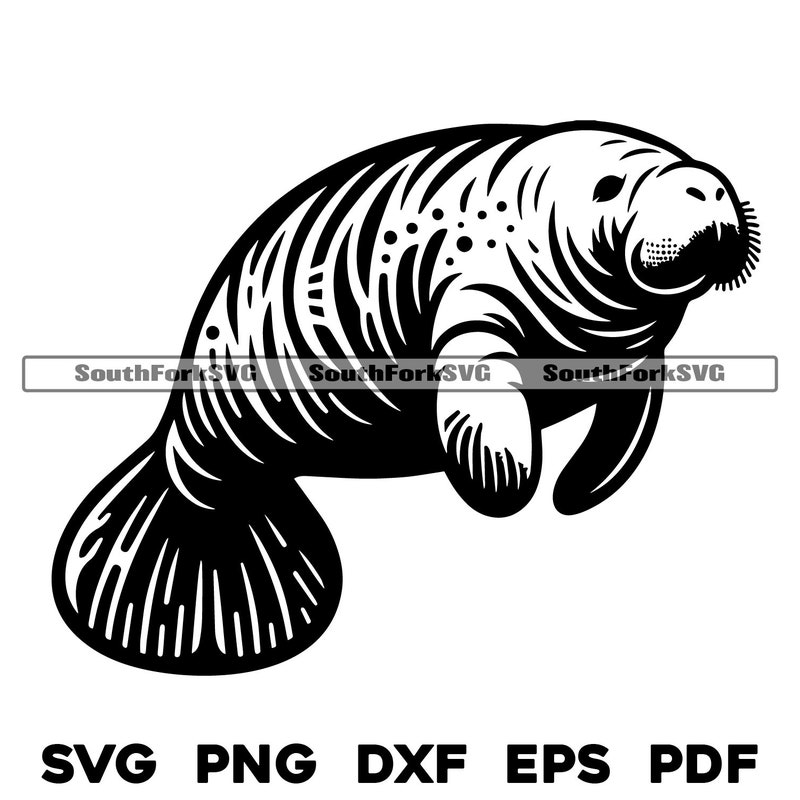 Manatee Svg - Etsy