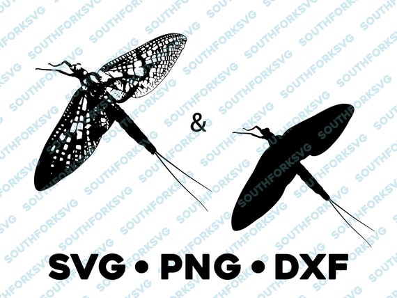 Mayfly SVG PNG DXF Vector Transparent Cricut Cameo Silhouette - Etsy