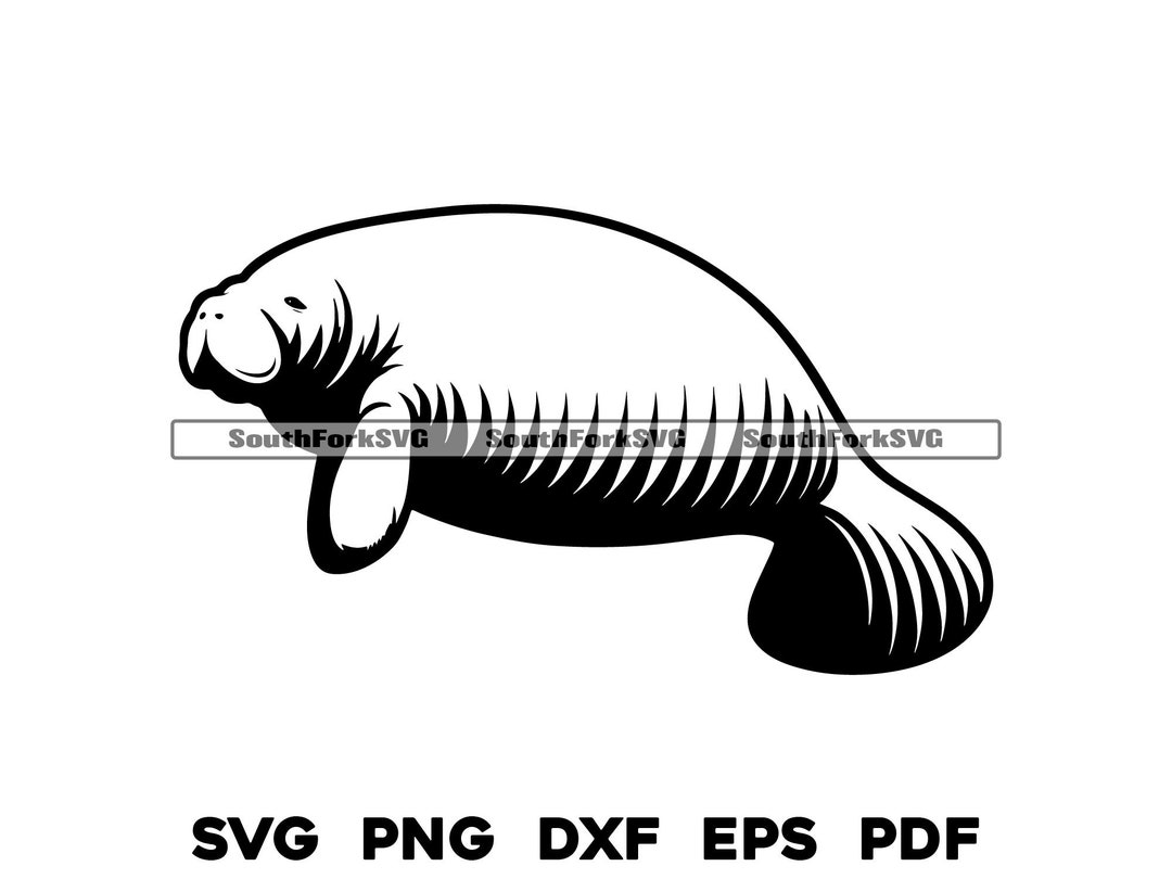 Simple Manatee Line Art Design Svg Png Dxf Eps Pdf | Vector Graphic Cut ...