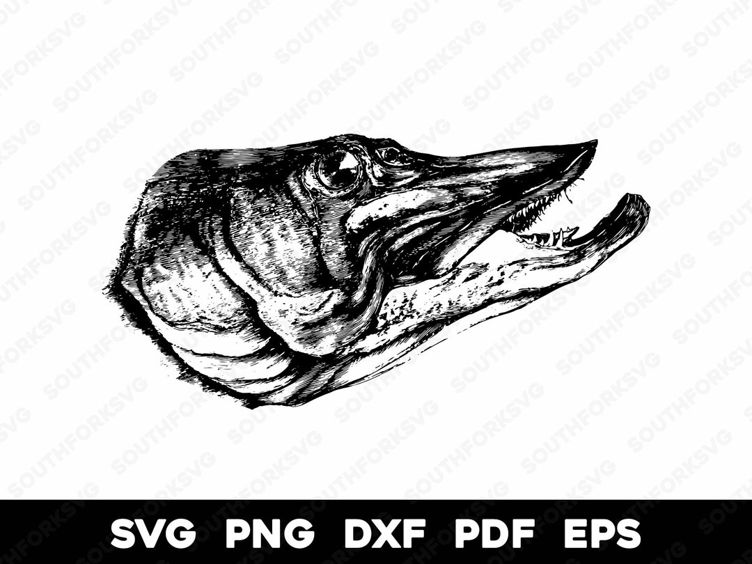 Vintage Distressed Musky Head Svg Png Dxf Eps Pdf Vector Graphic Design ...
