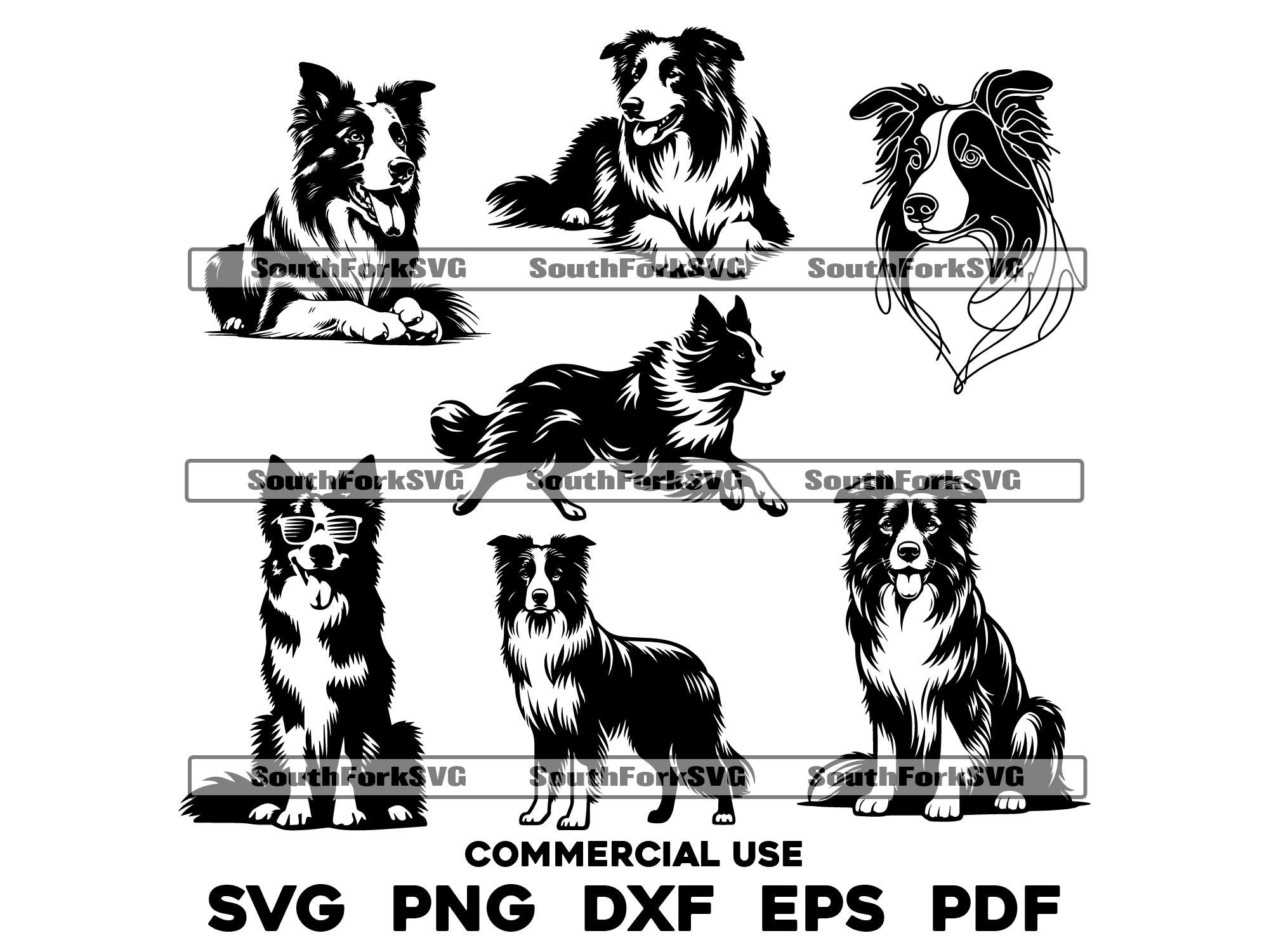 Border Collie Bundle 1 Svg Png Dxf Eps Pdf | Vector Graphic Cut File ...
