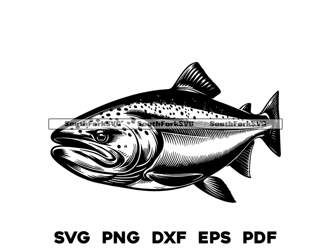 Salmon Design Files | Svg Png Dxf Eps Pdf | Transparent Vector Graphic ...