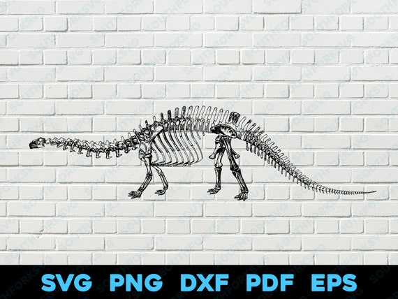 Brontosaurus Dinosaur Skeleton Svg Png Dxf Eps Pdf Vector - Etsy
