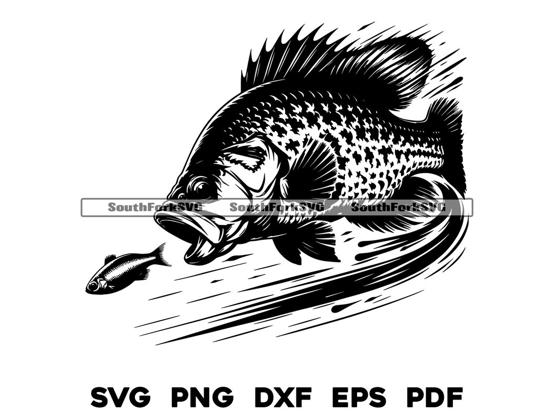 Crappie Chasing Minnow Design | Svg Png Dxf Eps Pdf | Transparent ...