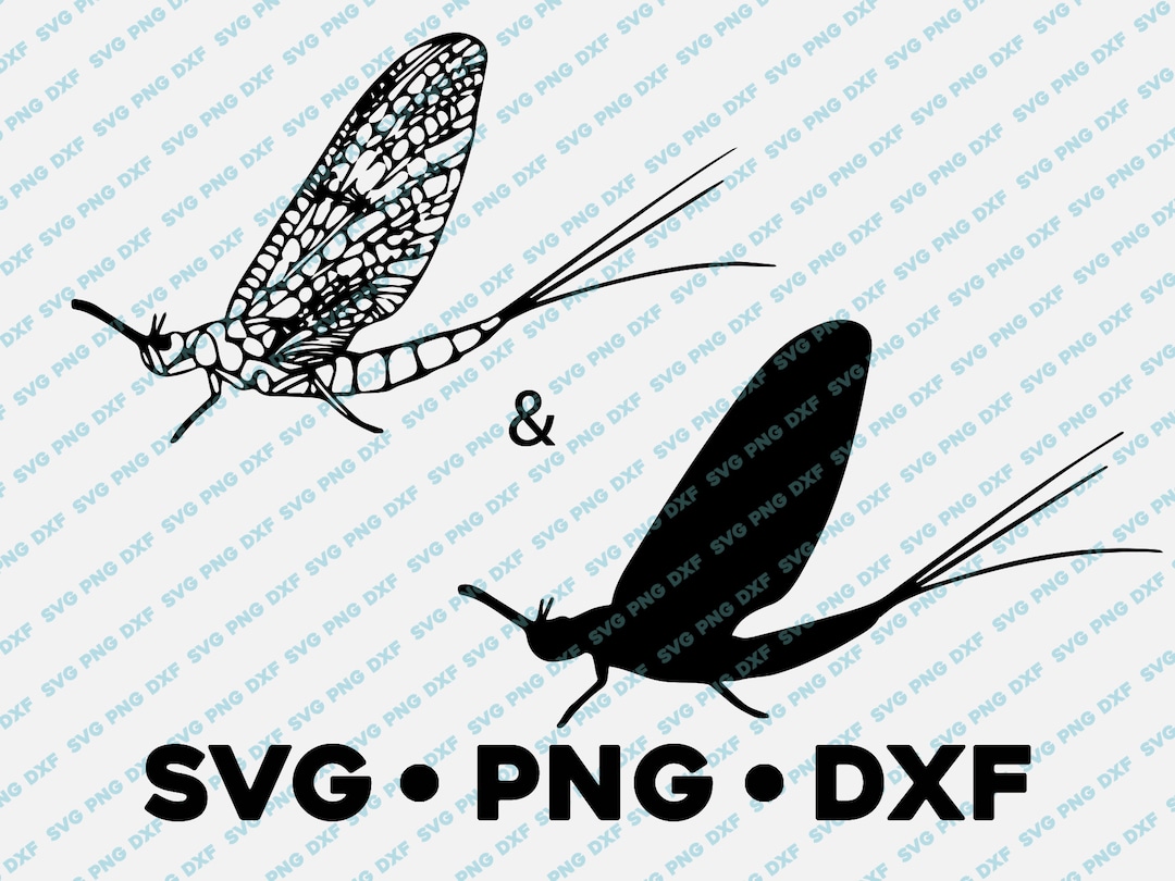 Mayfly SVG PNG DXF Vector Transparent Cameo Silhouette Cut File Saying ...