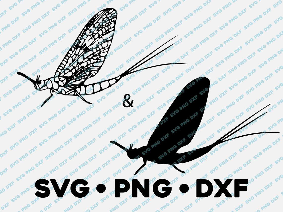 Mayfly SVG PNG DXF Vector Transparent Cameo Silhouette Cut File Saying ...