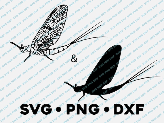Mayfly SVG PNG DXF Vector Transparent Cricut Cameo Silhouette | Etsy