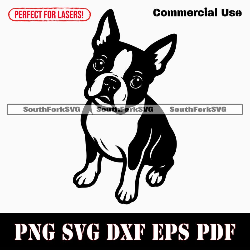 Laser Cut Art Boston - Etsy