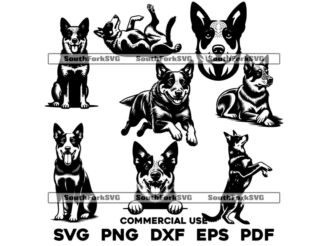 Blue Heeler Bundle Pack Svg Png Dxf Eps Pdf | Vector Graphic Cut File ...