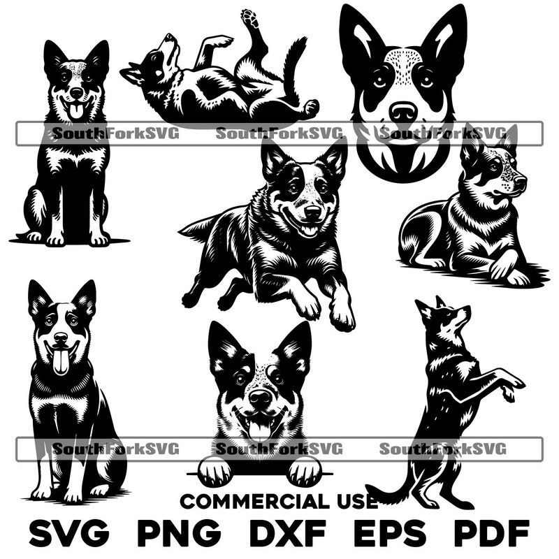 Blue Heeler - Etsy
