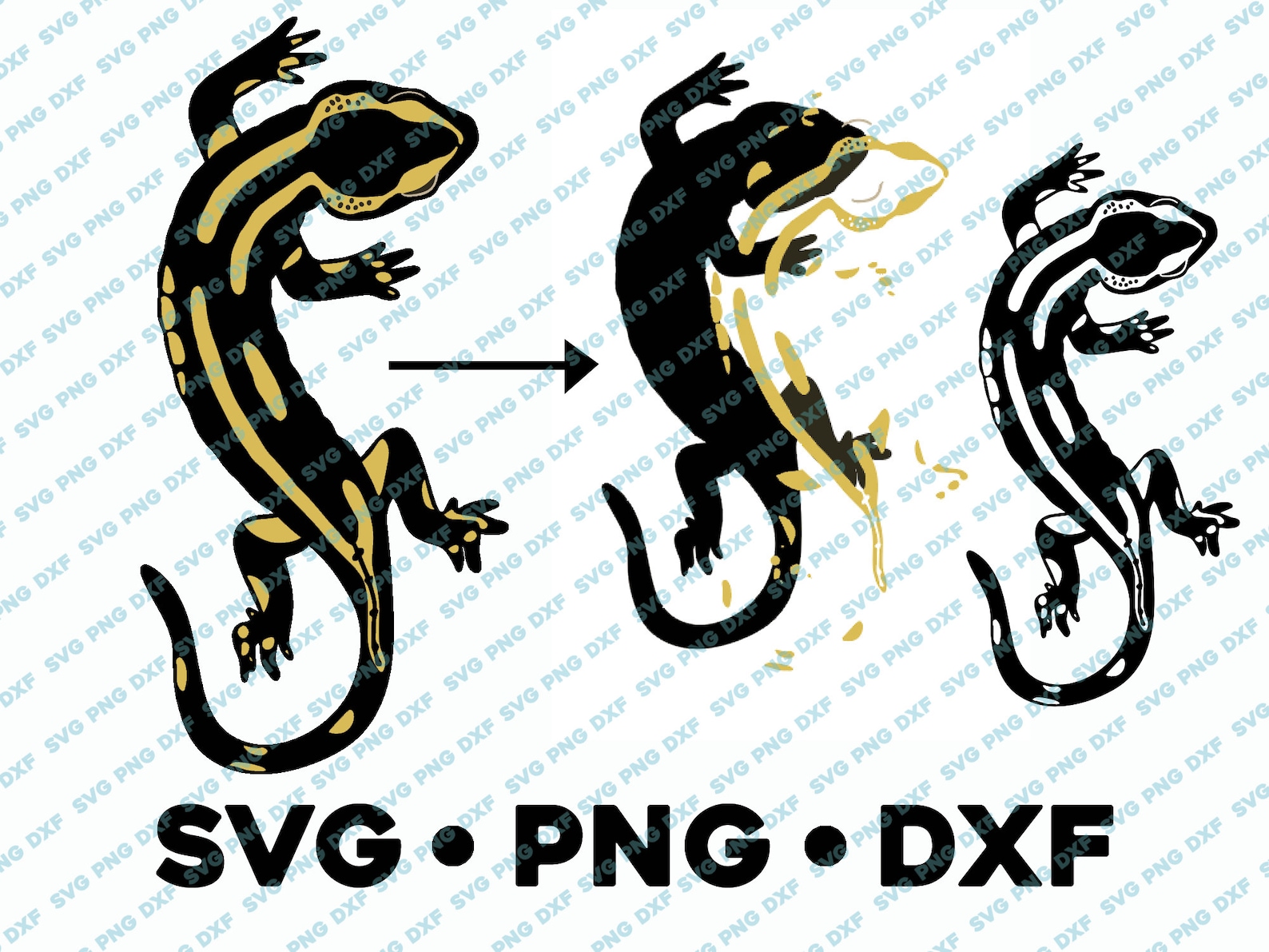 Salamander SVG PNG DXF Layered by Color Cut File Silhouette Cameo ...