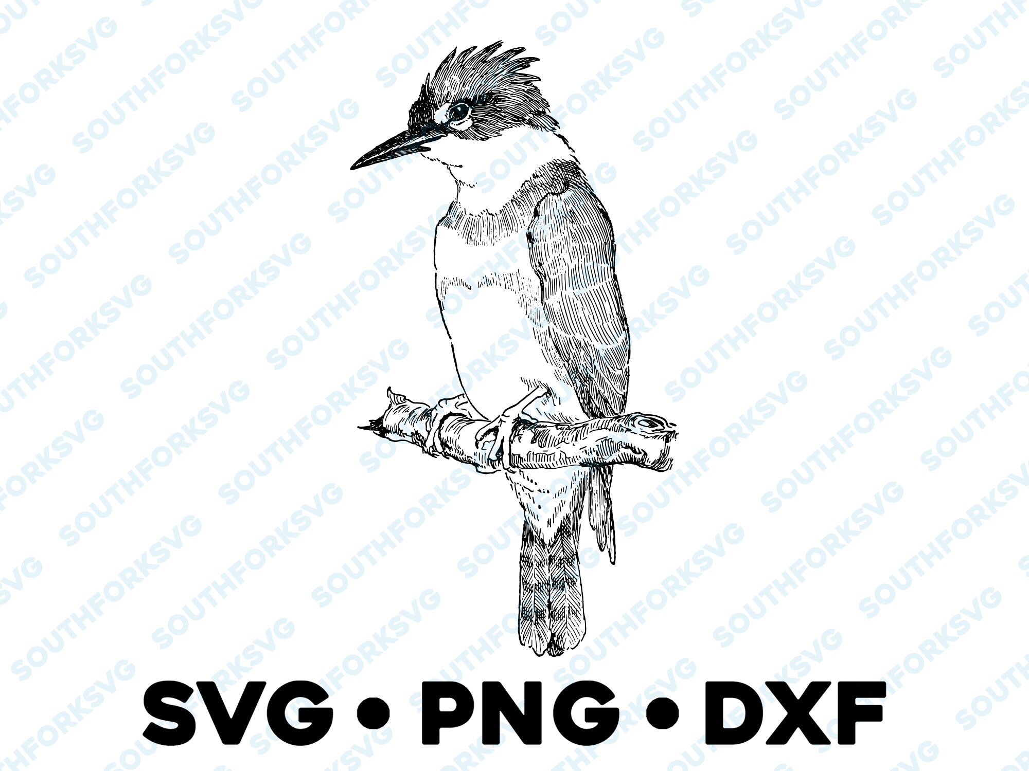 Kingfisher SVG PNG DXF Vector Graphic Design Image Clip Art | Etsy