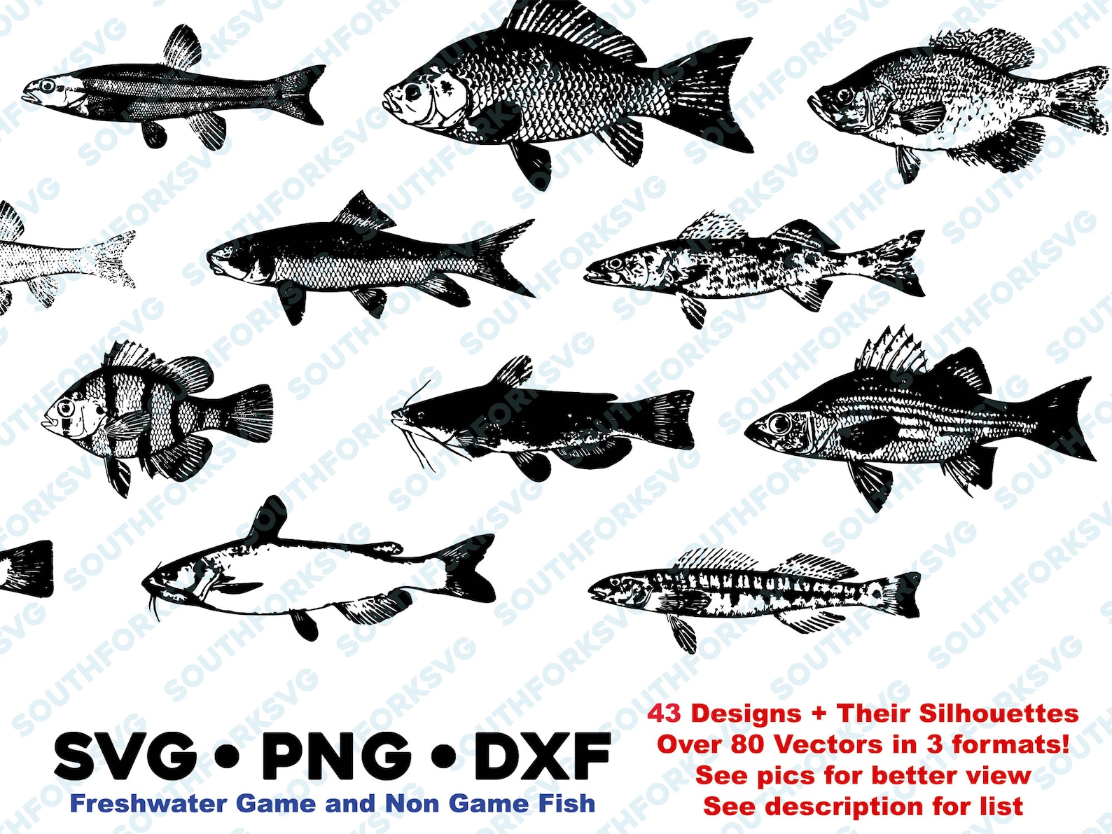 Freshwater Game & Non Game Fish + Silhouettes Mega Bundle SVG PNG DXF ...