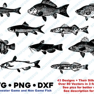 Freshwater Game & Non Game Fish + Silhouettes Mega Bundle SVG PNG DXF ...