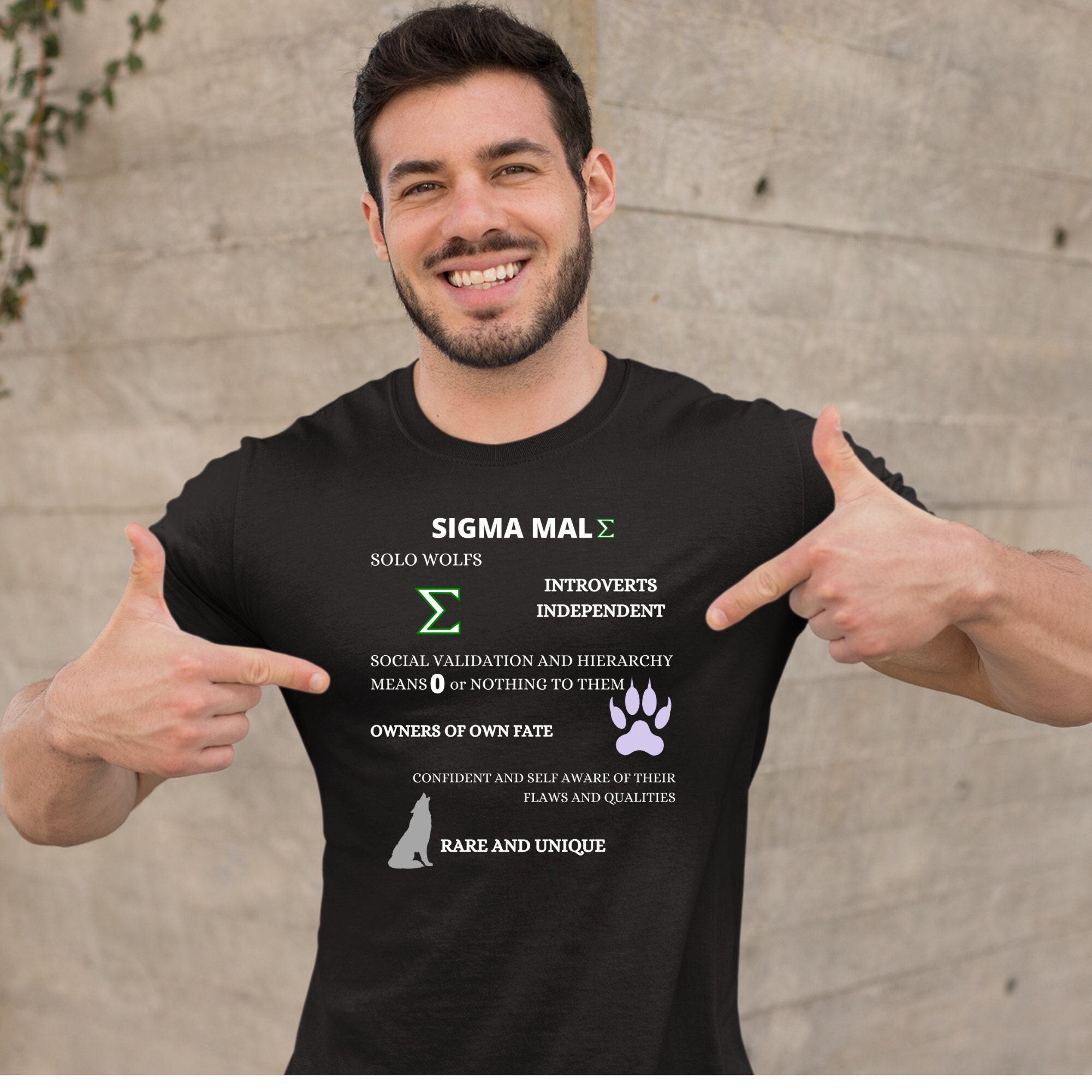 Sigma Male T-shirt, Sigma Male T-shirt, Boyfriend Gift T-shirt, Alpha ...