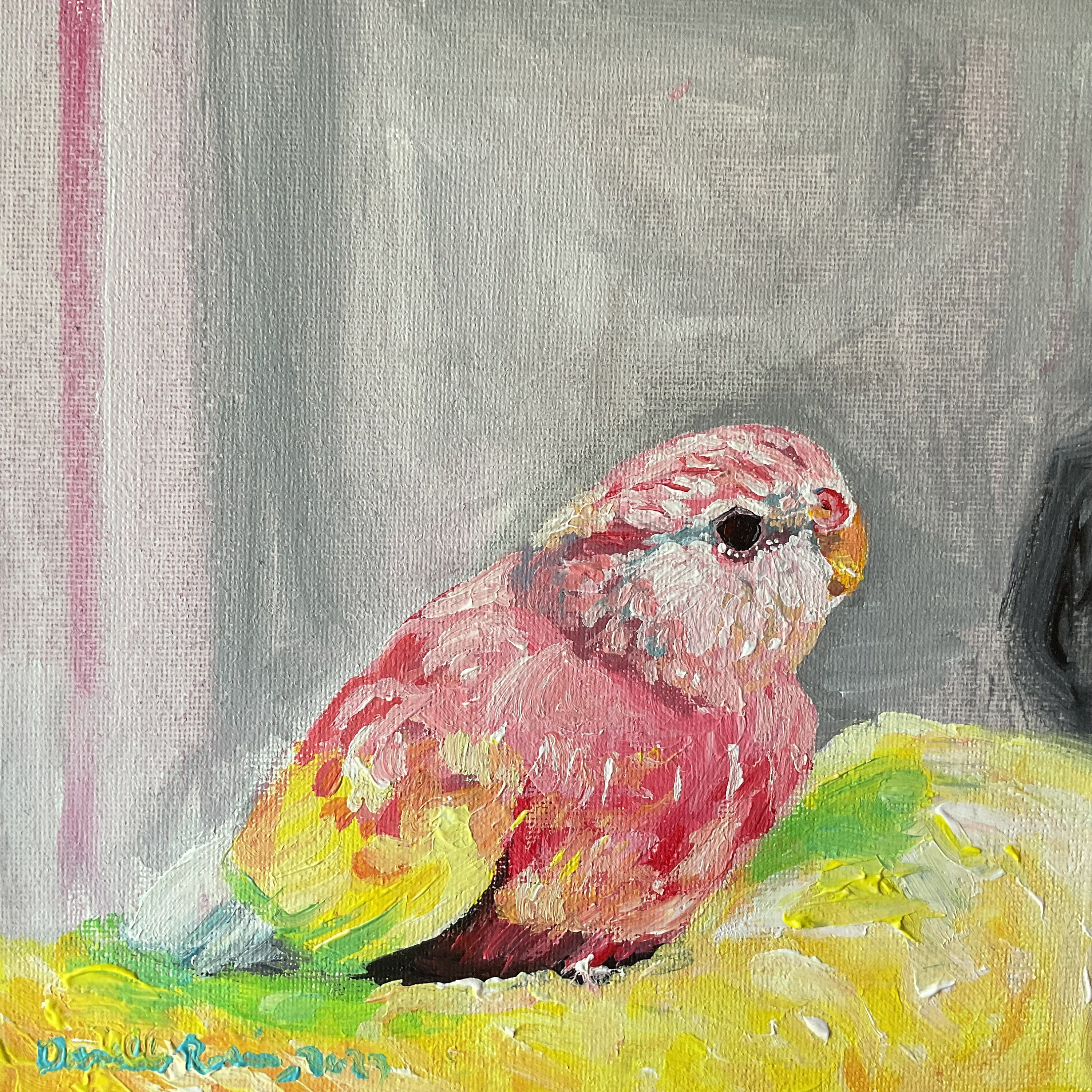 Parakeet Painting