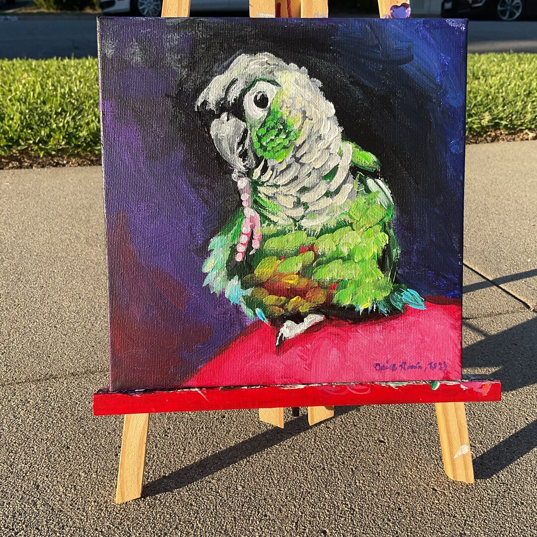The Pedicure, Green-cheek Conure Portrait, Original Acrylic Painting - Etsy