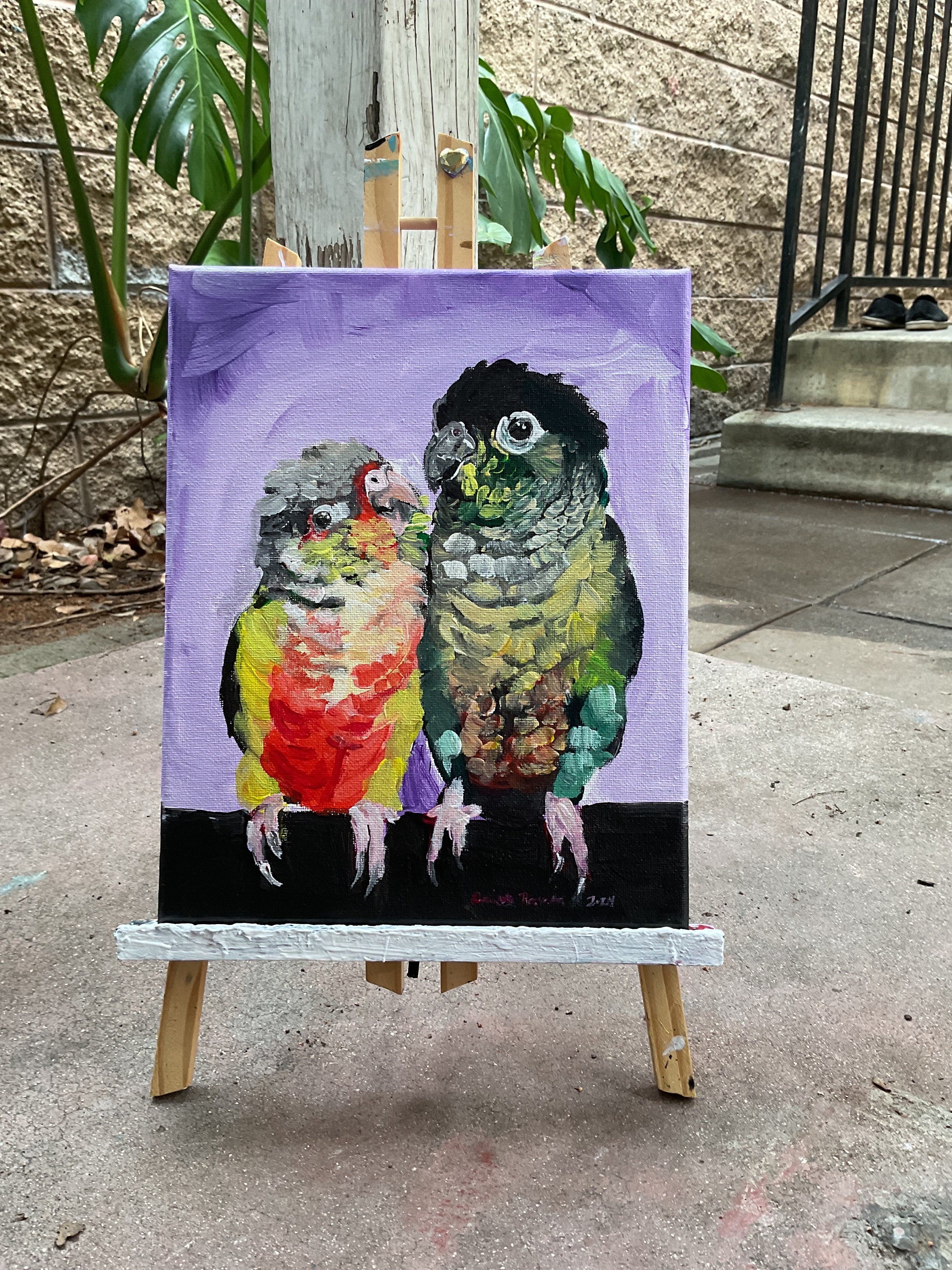 Green-cheek Conure Couple, Original Acrylic Painting - Etsy