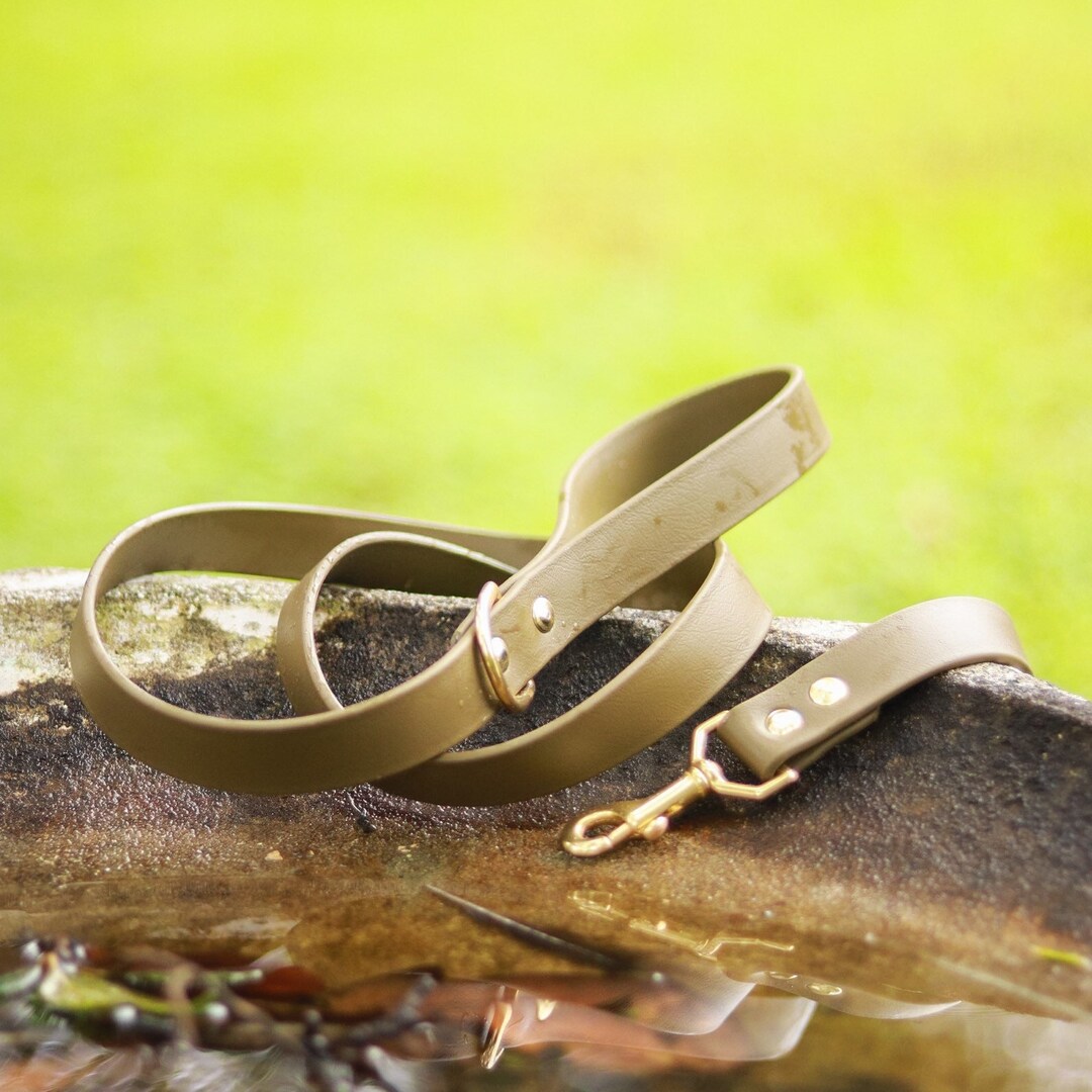 1" Waterproof Dog Leash | Biothane Leash | Dog Lead | Biothane Lead ...