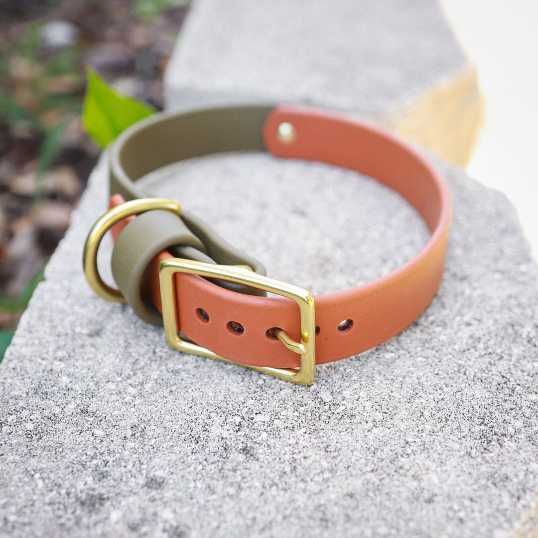 FALL 1 Biothane Buckle Collar Fall Collar Dog Collar Dog Gear Cute Dog ...