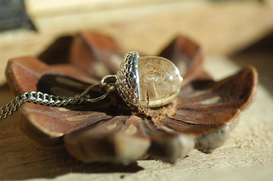 Leaf Skeleton Acorn Pendant Plant in Resin Immortal Nature - Etsy