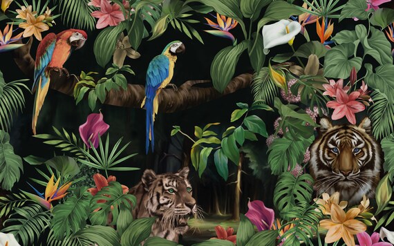 Amazon Forest Animals Wallpaper