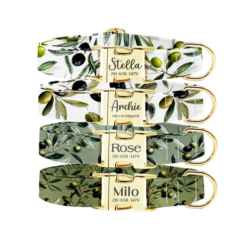 Olive Small Dog Collar - Etsy UK