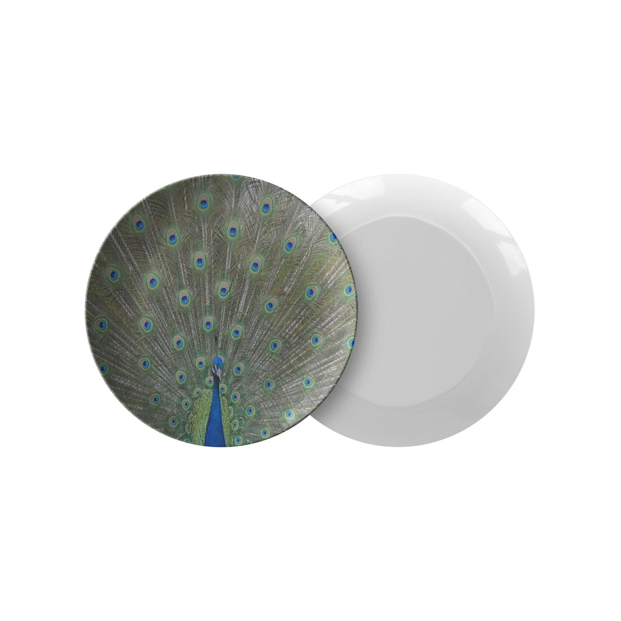 Dinner Plate Set, Peacock Design Dinnerware, 10 Inch Dinner Plate Set ...
